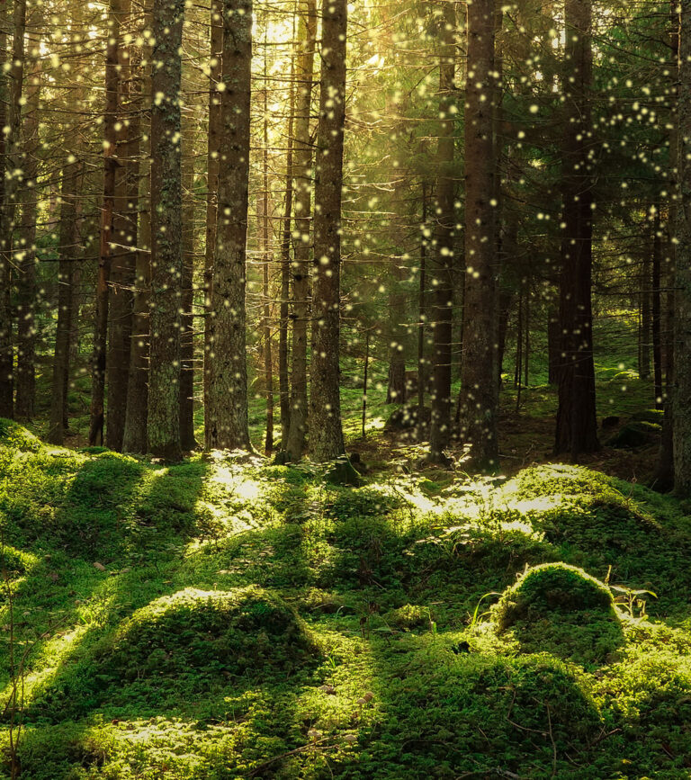 Financial Modeling - Capton Partners